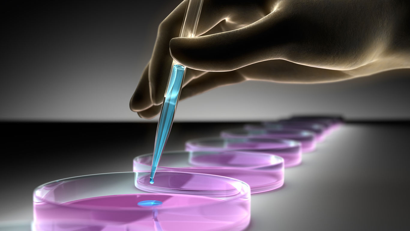 Le Cellule Staminali Che Cosa Sono Queste Cellule Madri CHE COSA SONO